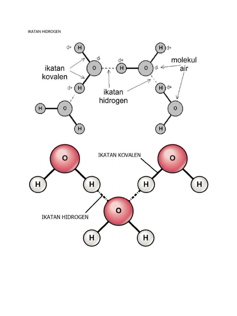Ikatan Hidrogen | PDF