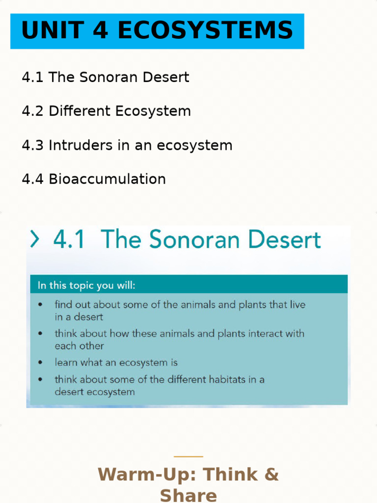 The Sonoran Desert Ecosystem | PDF | Food Web | Ecology