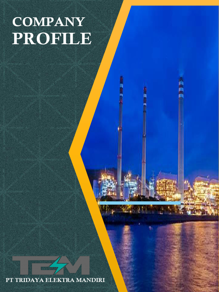 PT Tridaya Elektra Mandiri Overview | PDF | Business | Business Economics