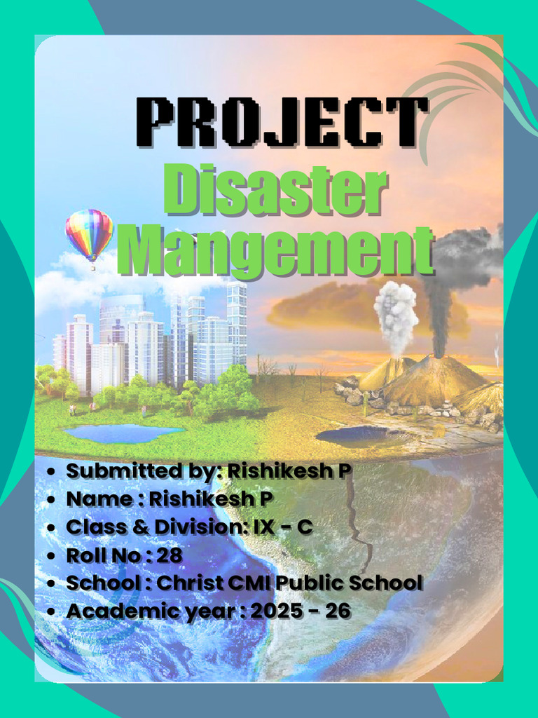 Disaster Management Project Overview | PDF | Emergency Management | Safety