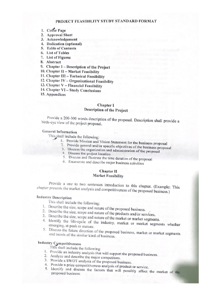 Feasibility Study Format | PDF