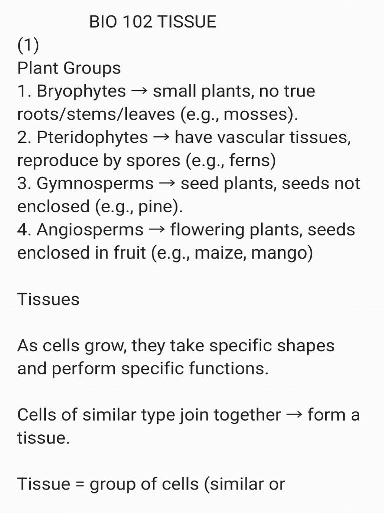 Bio 102 Tissue | PDF