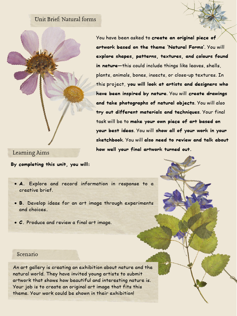 Natural Forms Unit Brief, Learning Aims and Scenario | PDF