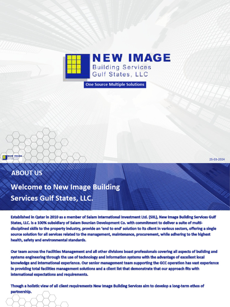 NIBS Profile 2024 - Compressed | PDF | Economies