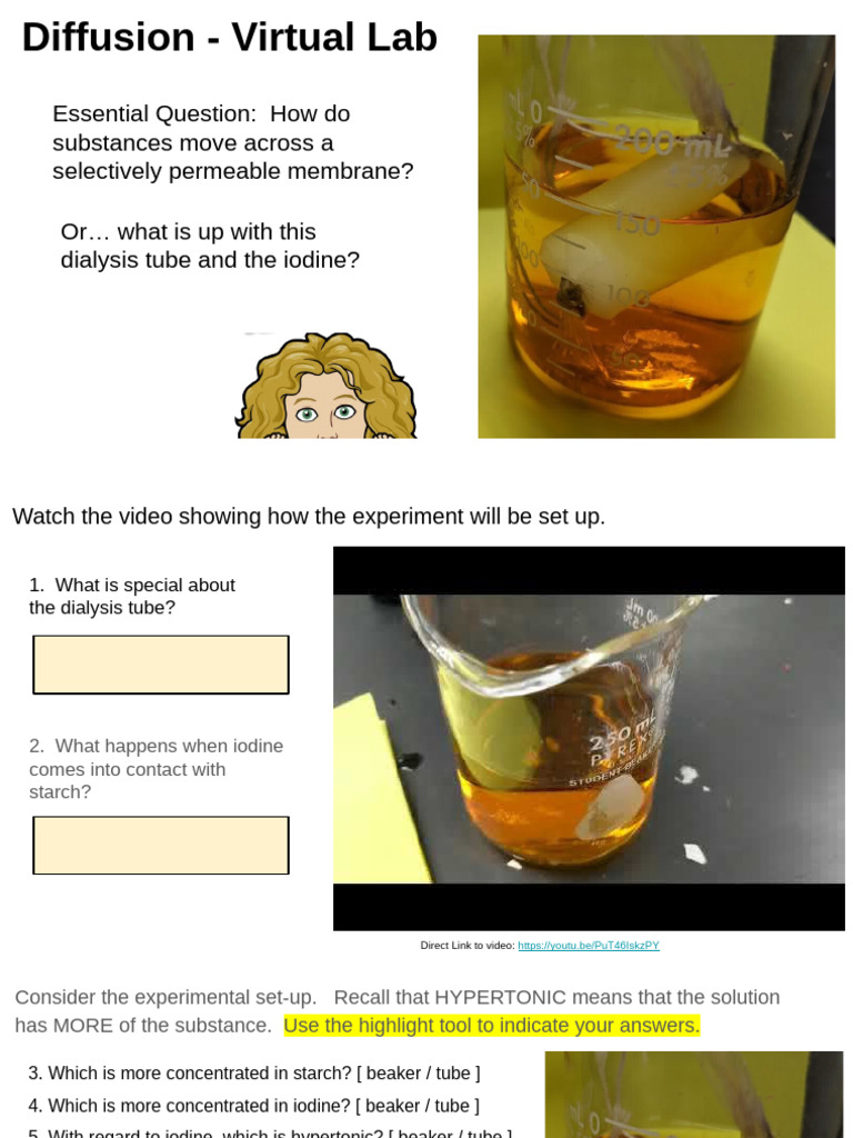 Iodine Concentration in Diffusion Lab | PDF