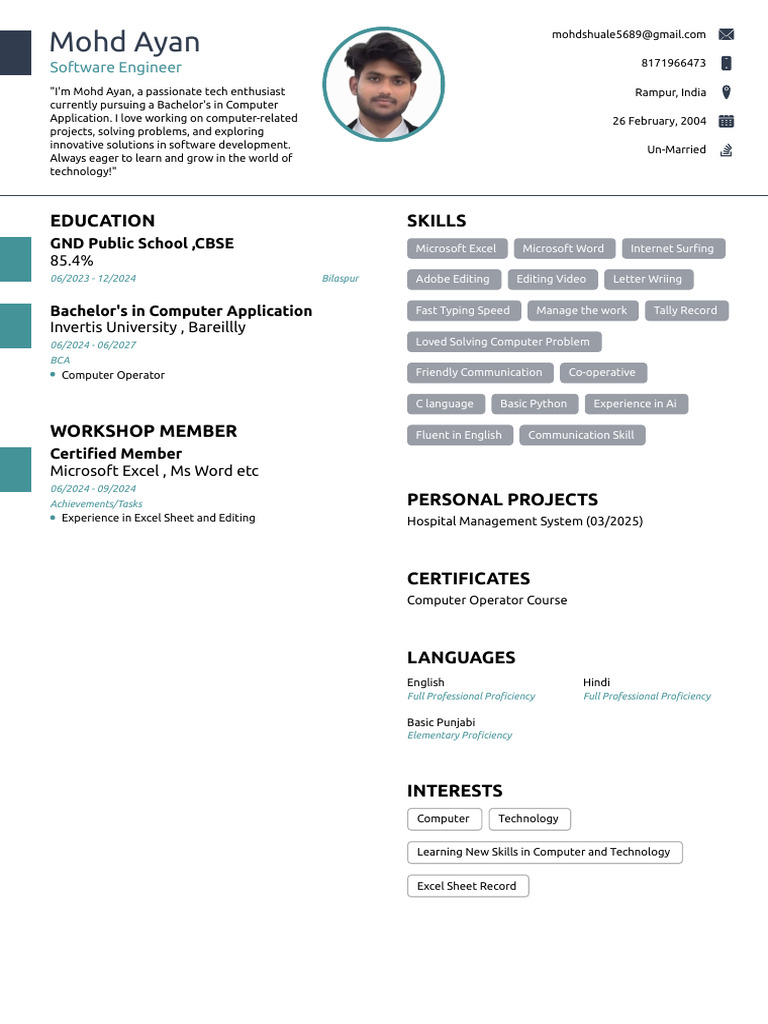 Ayan Resume | PDF | Microsoft Excel | Information Technology