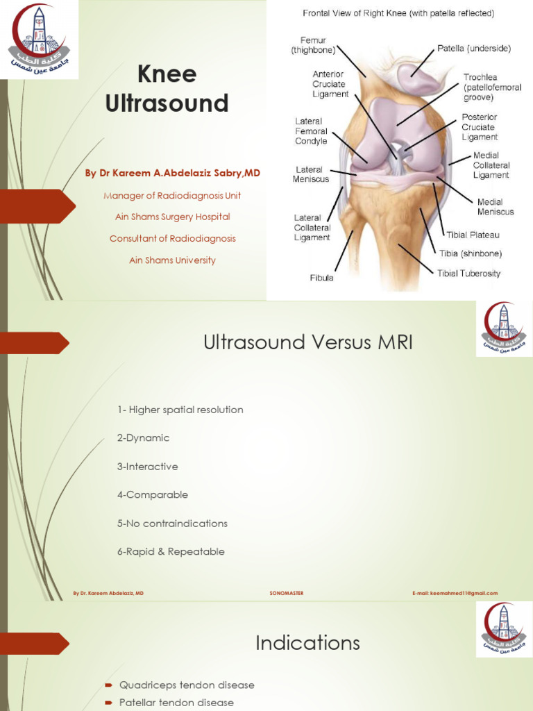 Knee Ultrasound | PDF | Knee | Foot