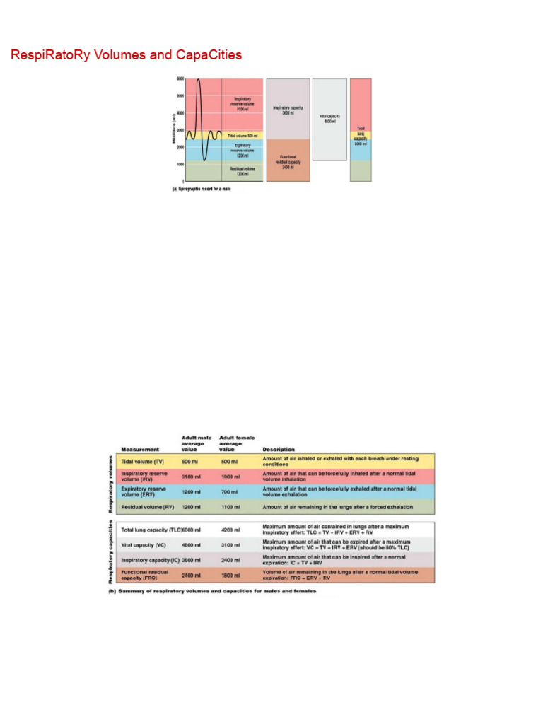 Session 4-5 | PDF | Circulatory System | Heart