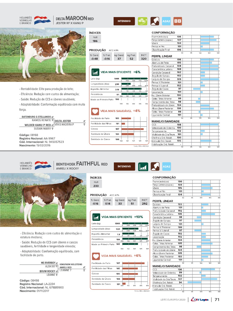 Bentehoek Faithful Red | PDF