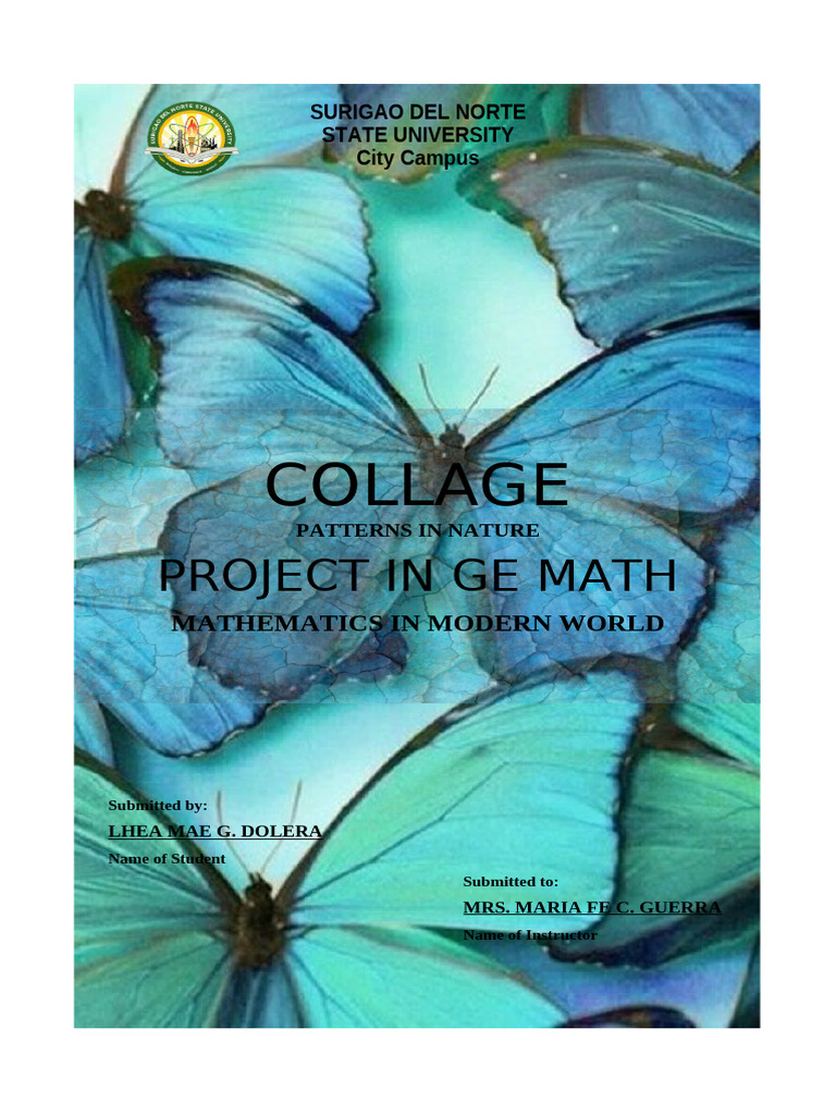 Patterns in Nature: Geometric Insights | PDF