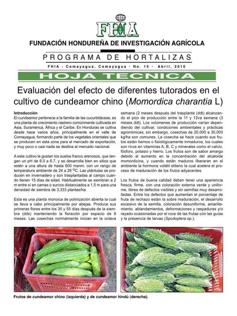 Cultivo de Cudeamor .Tutorado | PDF | Agricultura | Botánica