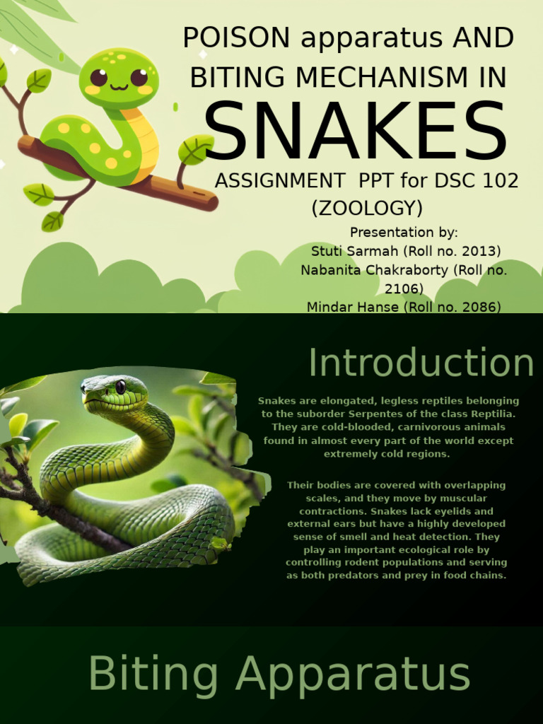 Snake Poison and Biting Mechanisms | PDF | Snake