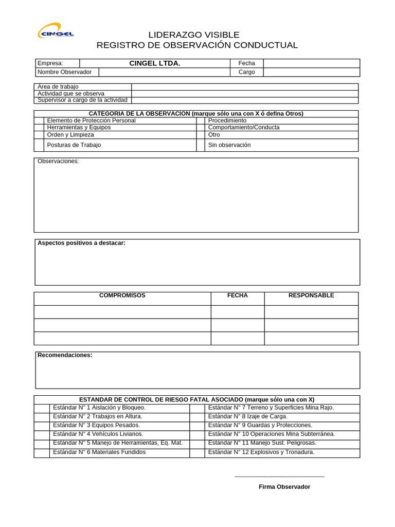 Formulario Observacion Conductual_v2 (2) | PDF | Conceptos psicologicos | Ciencias del ...