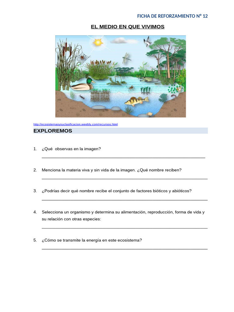 RP-CTA1-K12 -Ficha N° 12 ECOSISTEMAS Y DEMAS EL MEDIO EN QUE VIVIMOS 2025 | PDF | Entorno ...