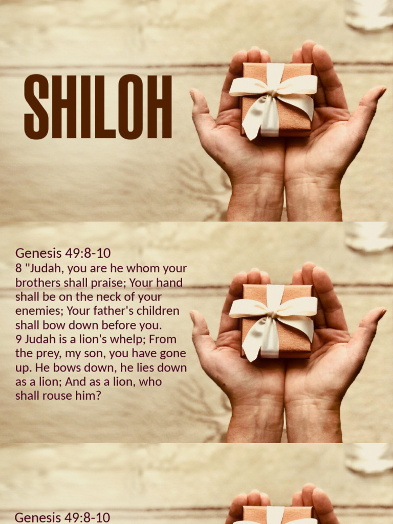 2023 12 03 Shiloh Ps Ashish Raichur | PDF