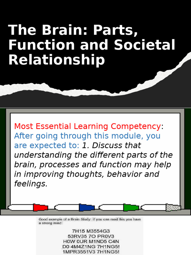 Understanding Brain Functions and Structure | PDF | Central Nervous ...