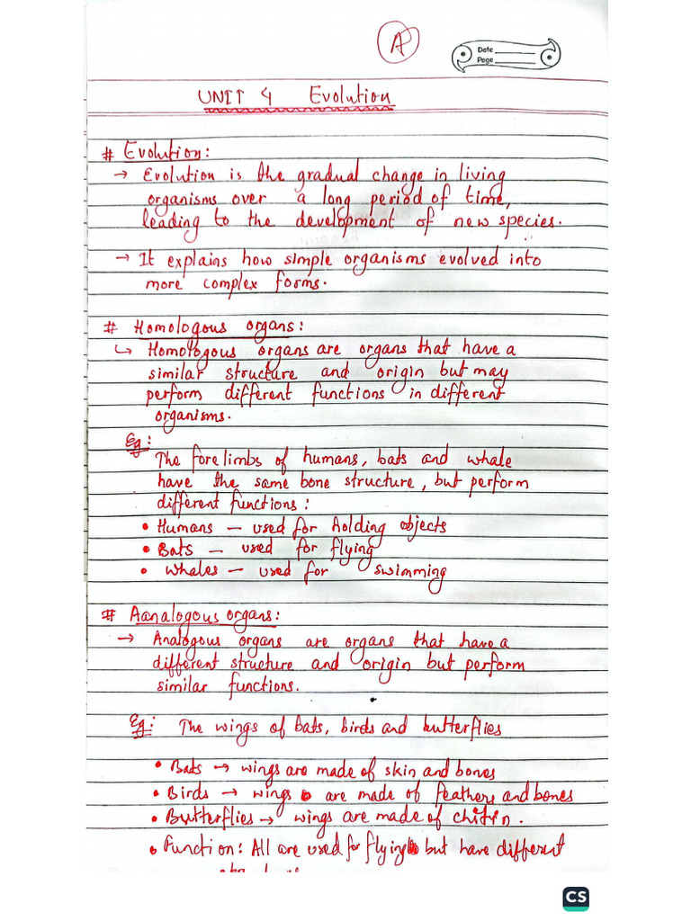 Unit 4 Evolution | PDF