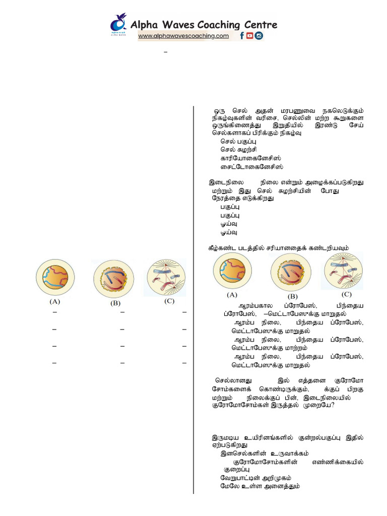 NEET Model Test 7 Question Paper English and Tamil Medium PDF Download ...