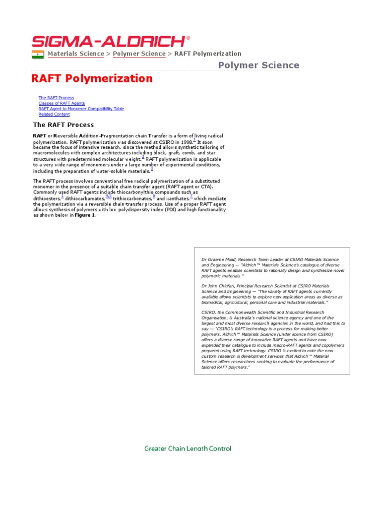 Raft | PDF | Chemical Reactions | Polymers
