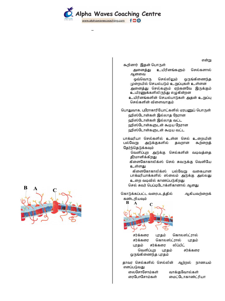 NEET Model Test 6 Question Paper English and Tamil Medium PDF Download ...