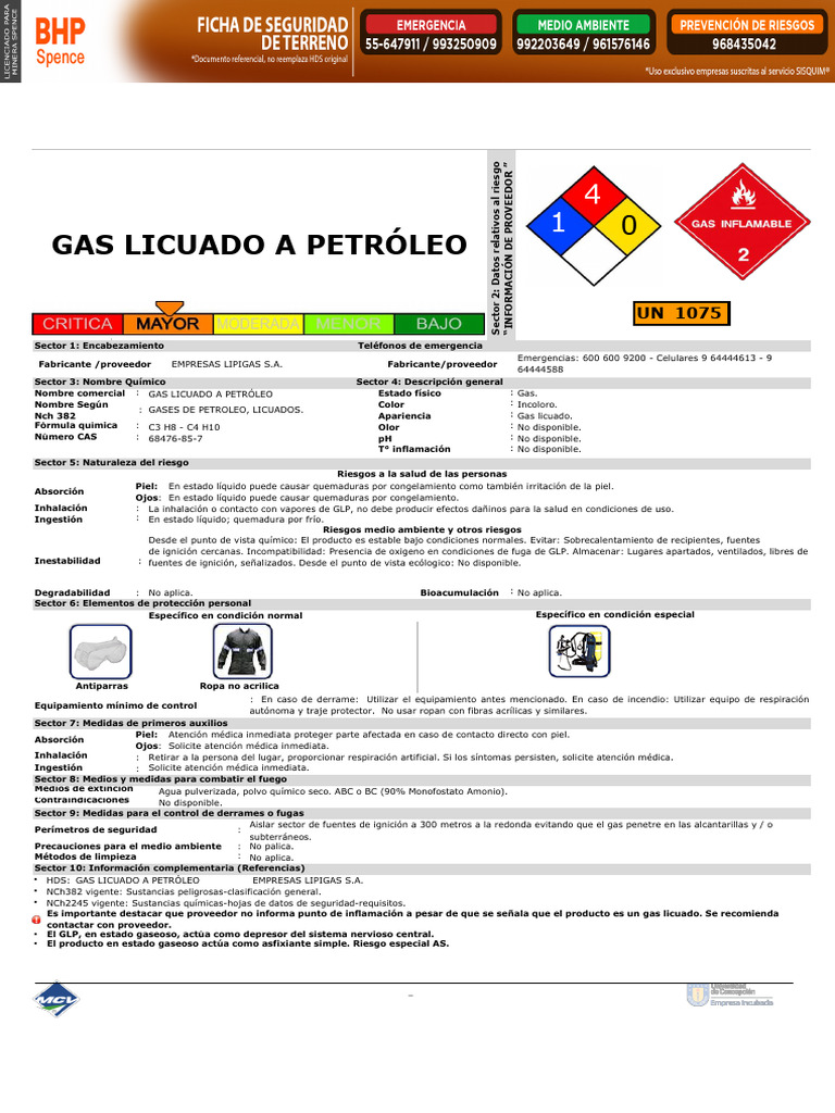 Seguridad y manejo del Gas Licuado de Petróleo | PDF | Quemar | Gas de ...