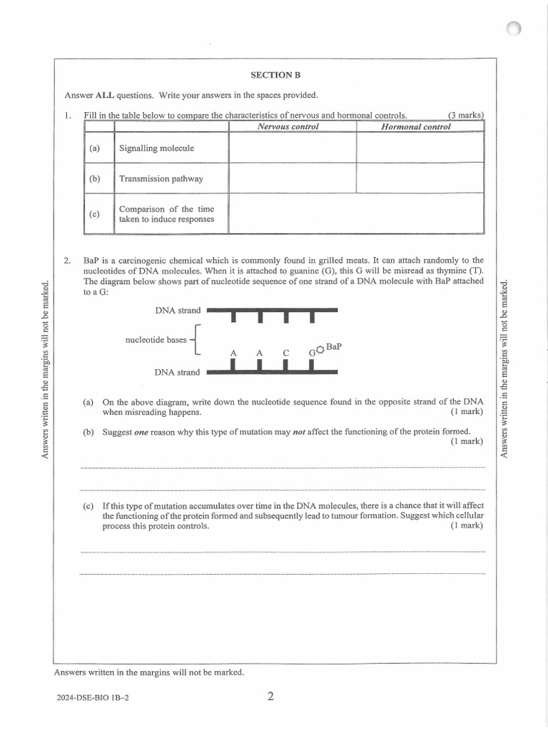 Bio DSE 2024 Paper 1B | PDF | Messenger Rna | Dna