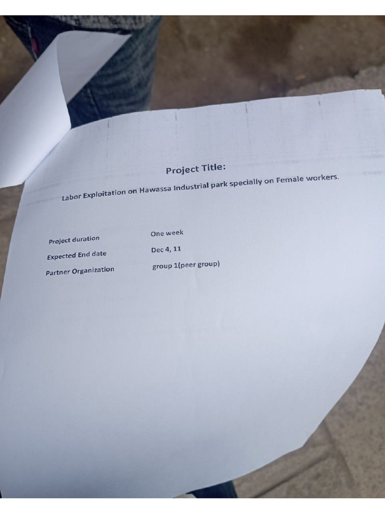 Sample Project Proposal | PDF