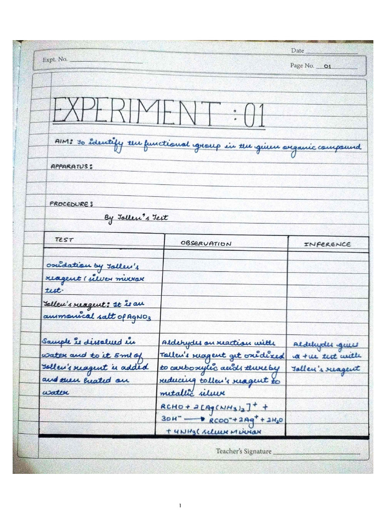 Complete Chem Pratical File | PDF