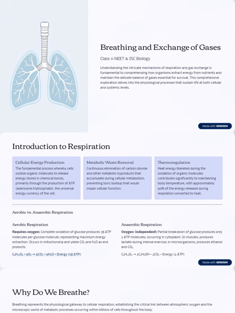 Gas Exchange and Respiration Explained | PDF | Respiratory System ...