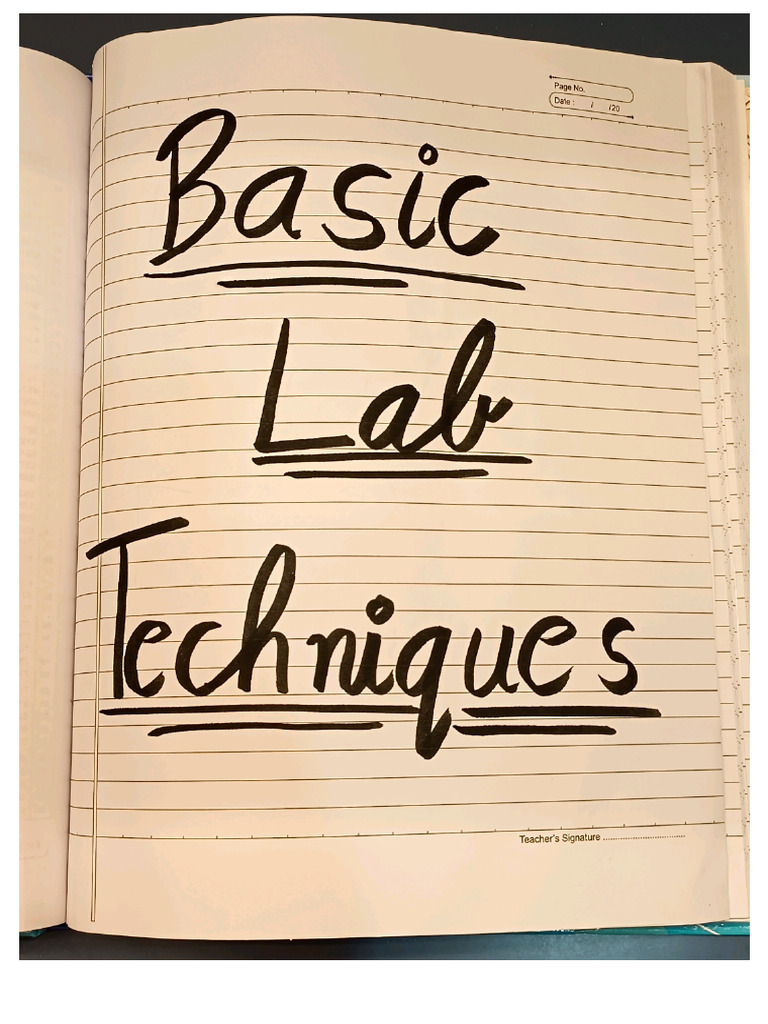 Chemistry Practicals Class 11 | PDF