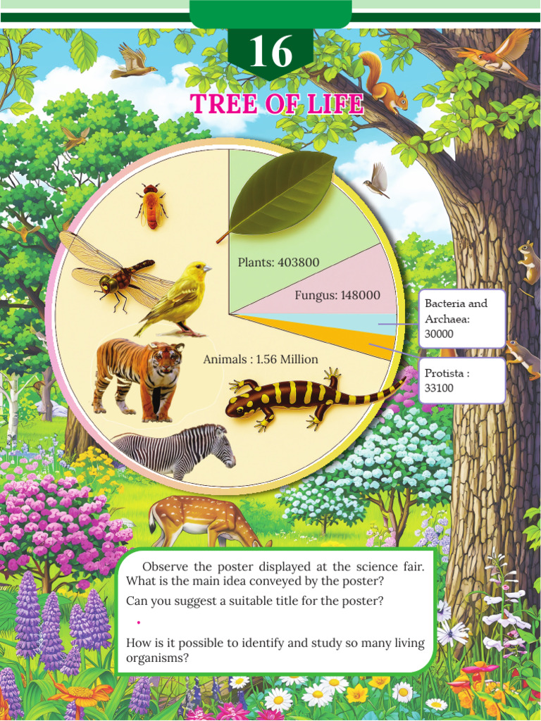 Tree of Life | PDF | Microorganism | Biological Classification