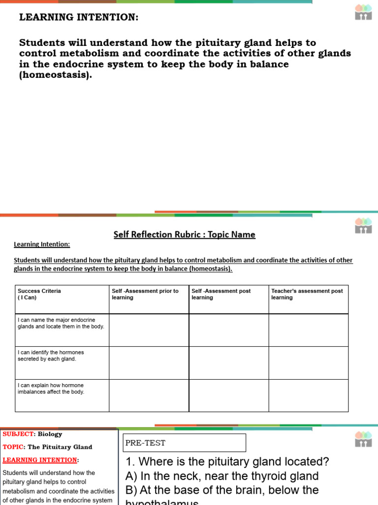 Pituitary Gland - Grade 8 | PDF | Pituitary Gland | Endocrine System