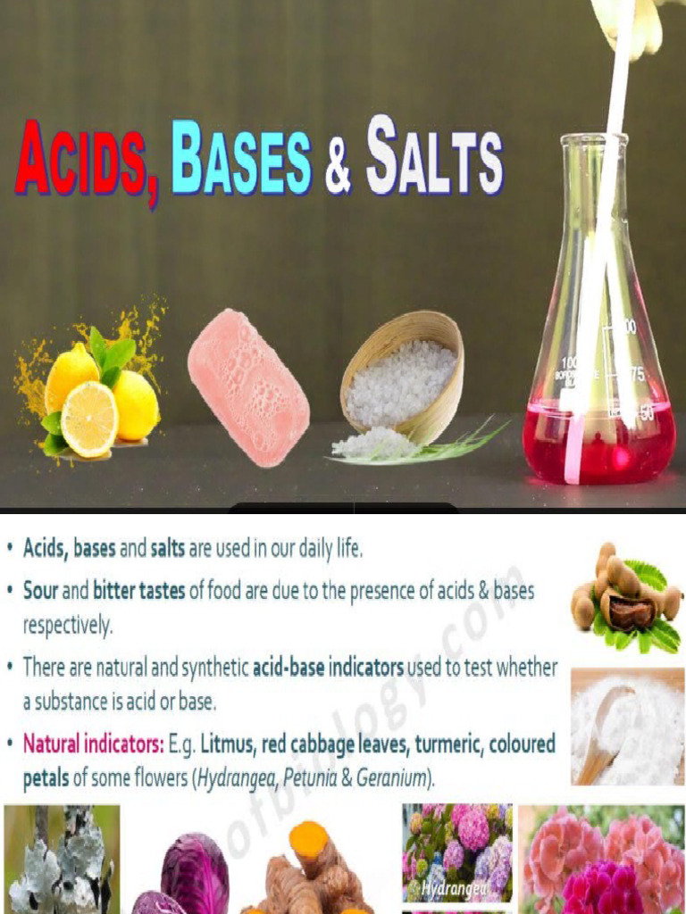 Acids Bases and Salt | PDF