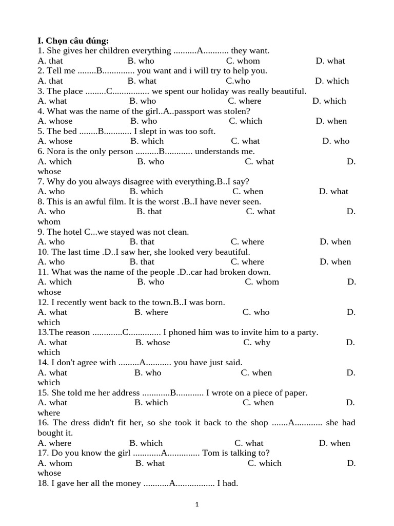 BT ĐẠI TỪ QUAN HỆ | PDF