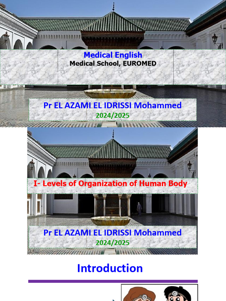 Levels of Organization in Human Biology | PDF | Human Body ...