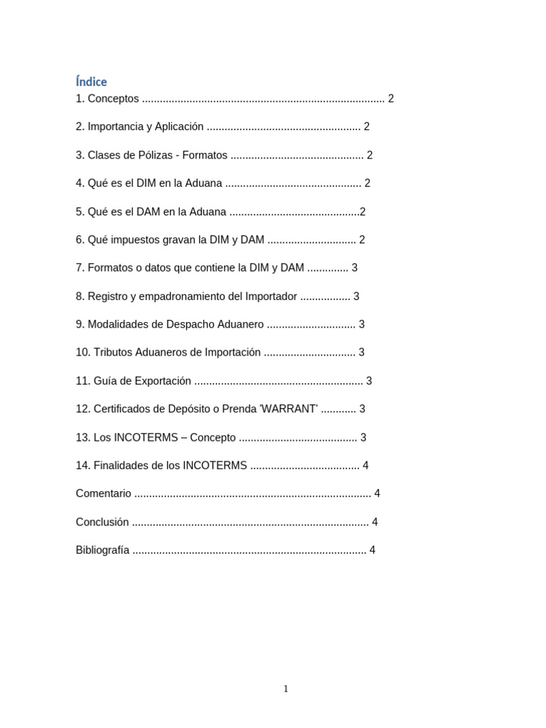Informe DIM y DAM Formato CompletoWJLC | PDF | aduana | El comercio ...