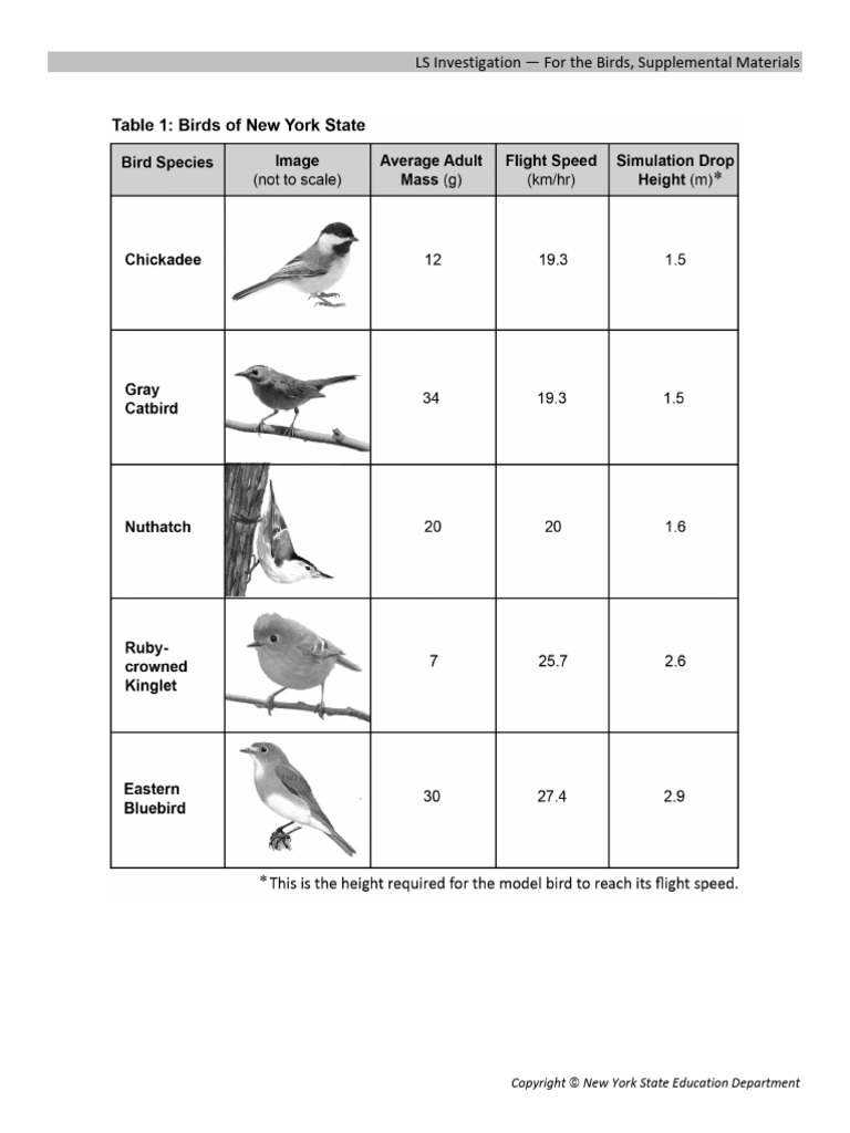 Supplemental Materials - LS Investigation - For The Birds | PDF
