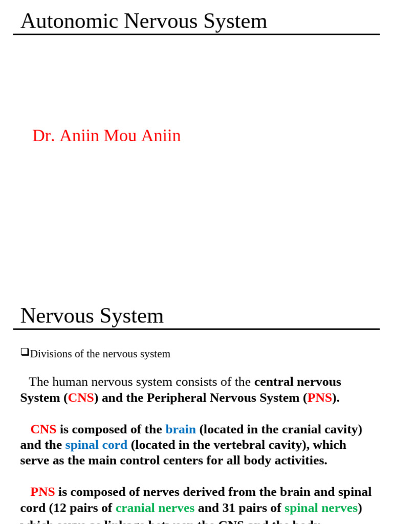 Understanding the Autonomic Nervous System | PDF | Nervous System ...