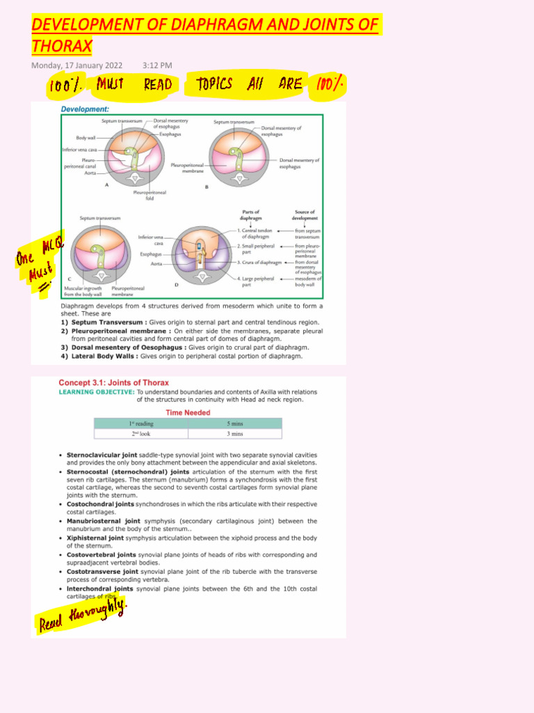 Development of Diaphragm and Joints of Thorax | PDF