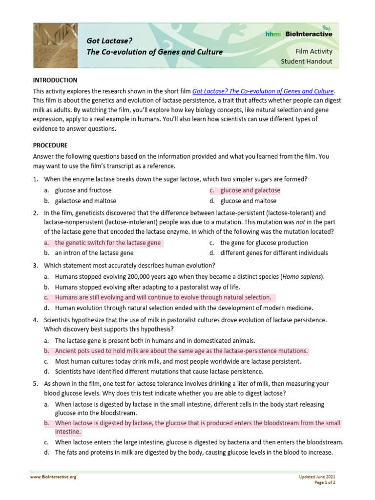 Lactase Persistence: Genes and Culture | PDF | Digestion | Milk