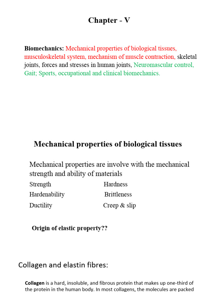 Chapter 5(Biophysics) | PDF | Skeletal Muscle | Cartilage