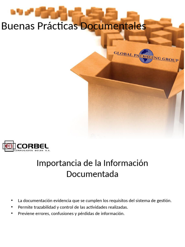 Buenas Prácticas Documentales | PDF