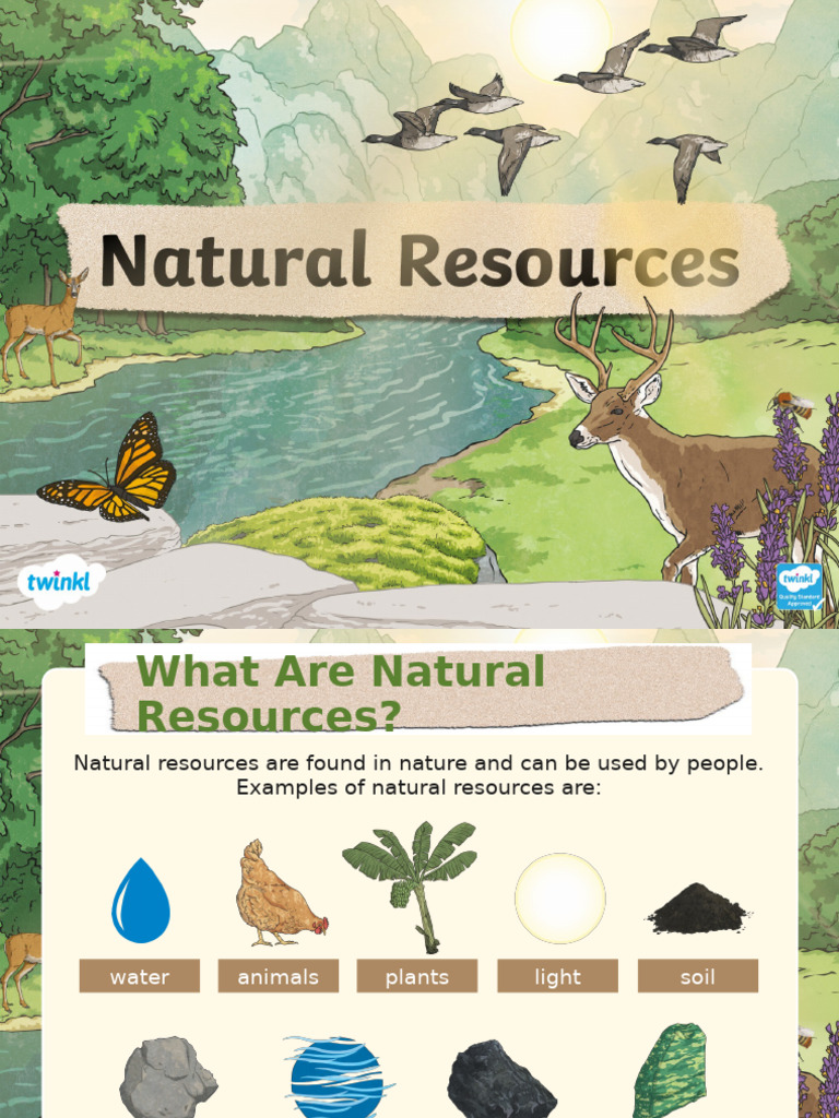 T G 1667310659 Natural Resources Powerpoint Ver 3 | PDF | Soil | Rock ...