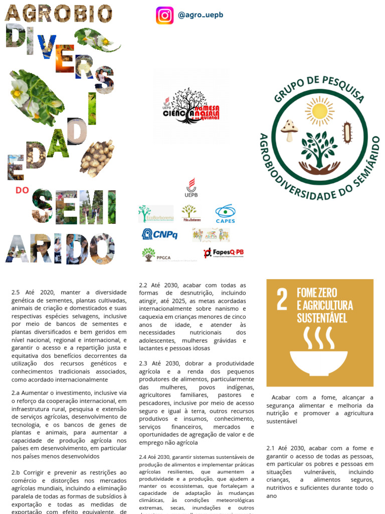 Caderneta de vacinação simples azul e branco folder 6 páginas 3 dobras ...