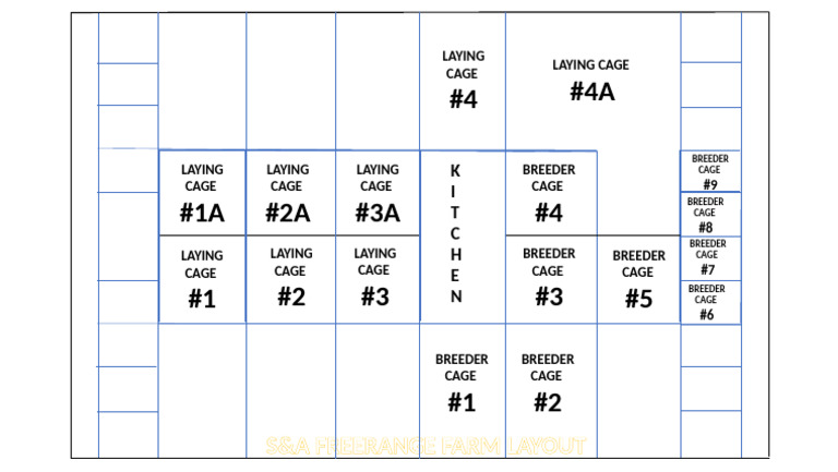 S&a Free Range Layout | PDF