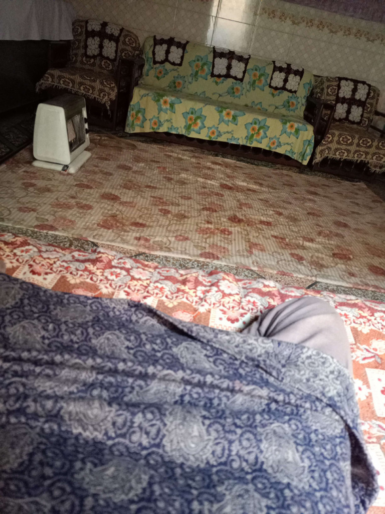 Document WPS Office | PDF