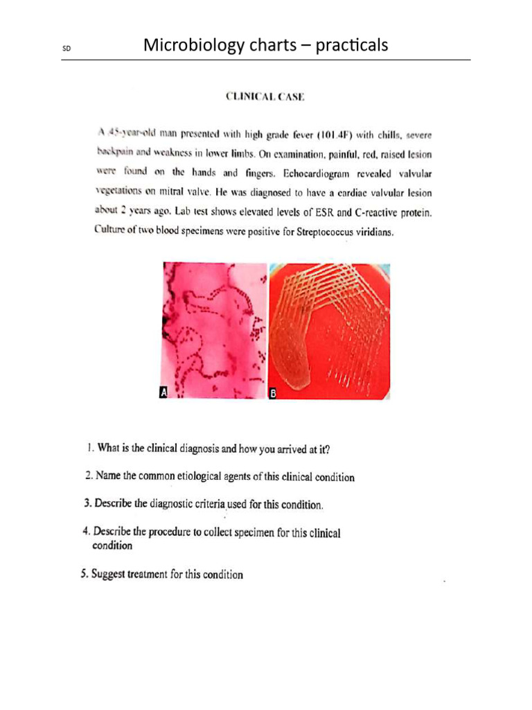 Microbiology Charts - Practicals | PDF | Candidiasis | Malaria