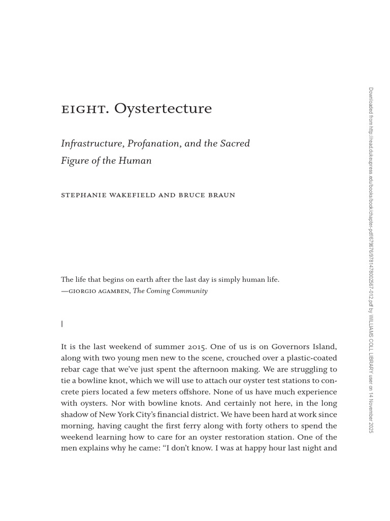oystertecture | PDF | Oyster