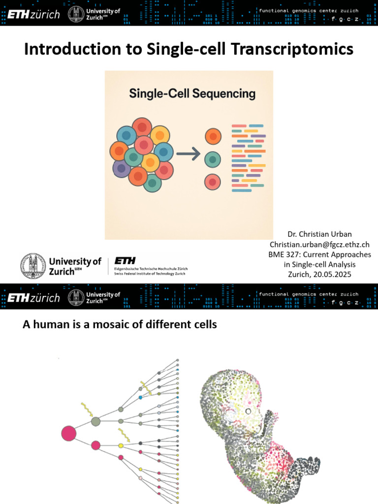 2025-FGCZ-Introduction To SingleCell May2025 | PDF | Transcriptome ...