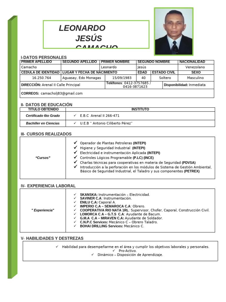 Curriculum Leonardo | PDF